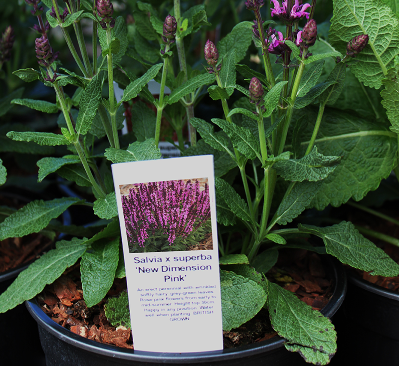 Horticulture Labels | Dura-ID Solutions Limited